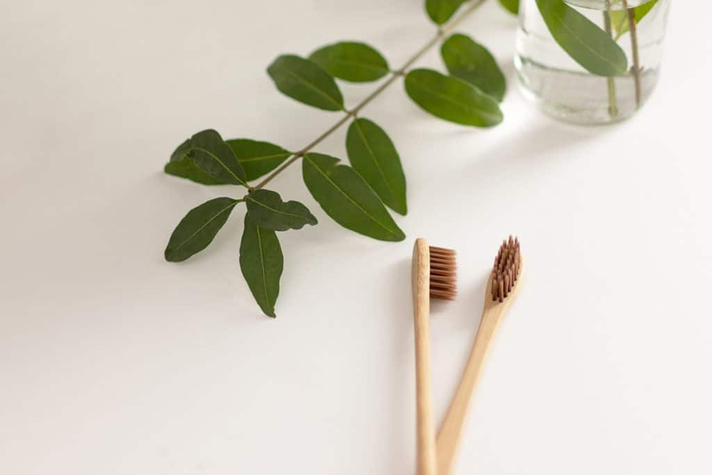 Natural Approaches to Oral Care in Holistic Dentistry